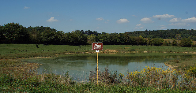 VDGIF Birding & Wildlife Trail Loops up for Adoption | Virginia Master ...