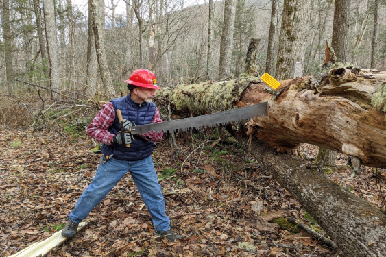 A Very Rewarding Day with the PATC | Virginia Master Naturalist ...