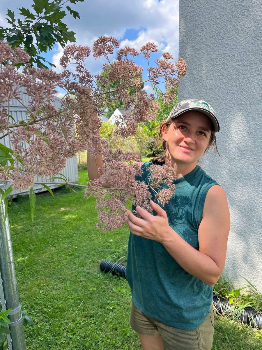 New Member Introduction and Welcome! | Virginia Master Naturalist ...